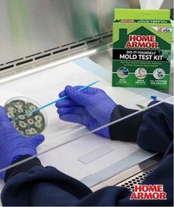 Outdoor Cleaning Solutions | Home Armor